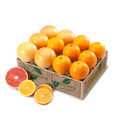 Florida Citrus Combos | FloridaOrange®